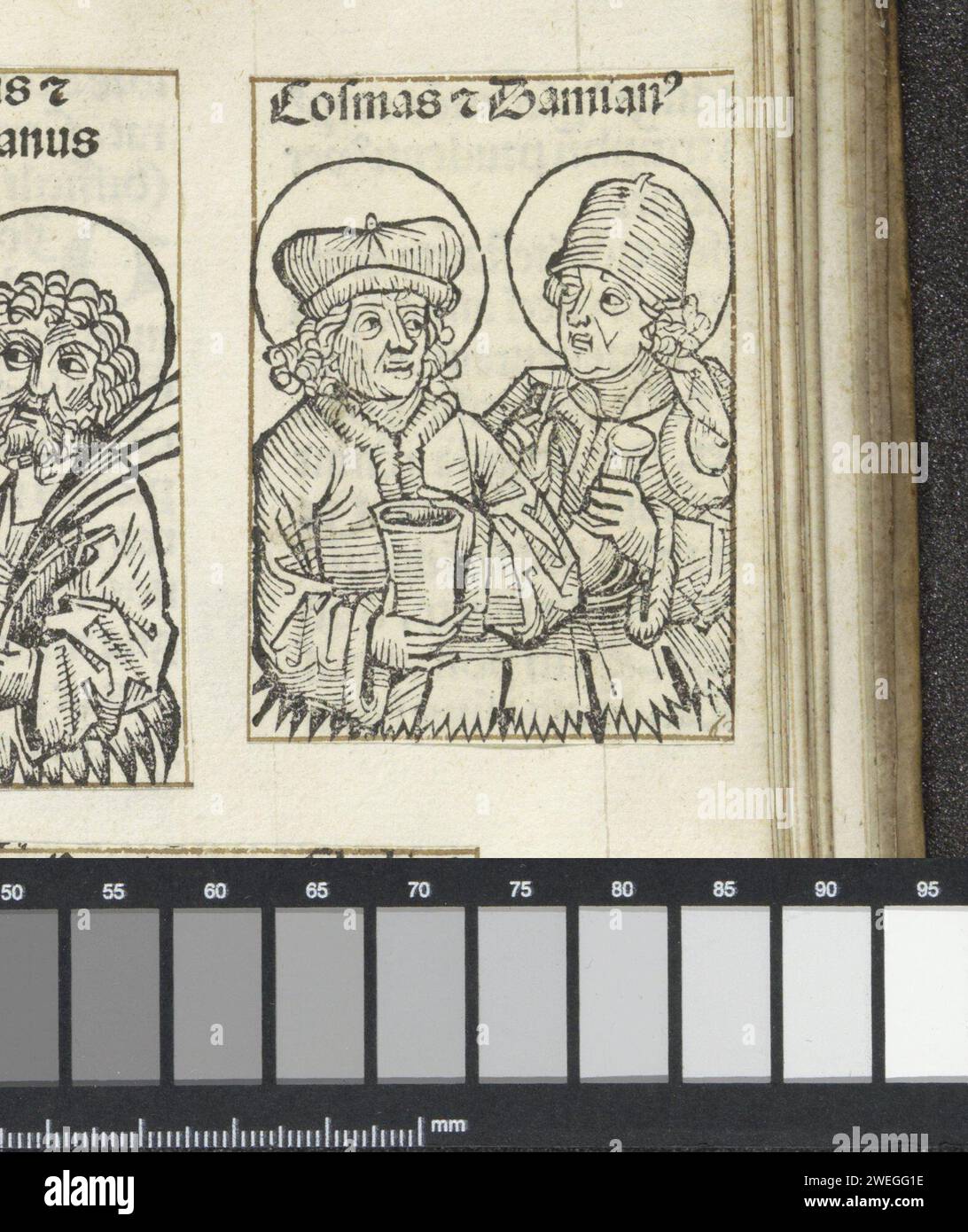 Cosmas en Damianus, Michel Wolgemut (Workshop of), 1493 print A flower ...