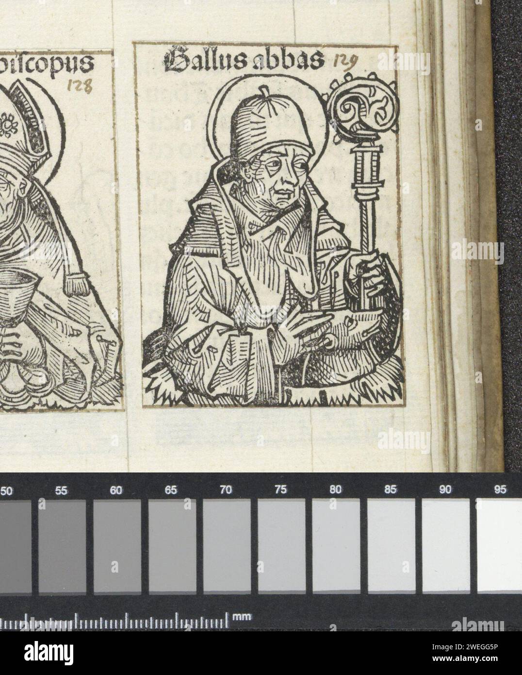 Saint Gallus, Michel Wolgemut (workshop of), 1493 print A flower ...