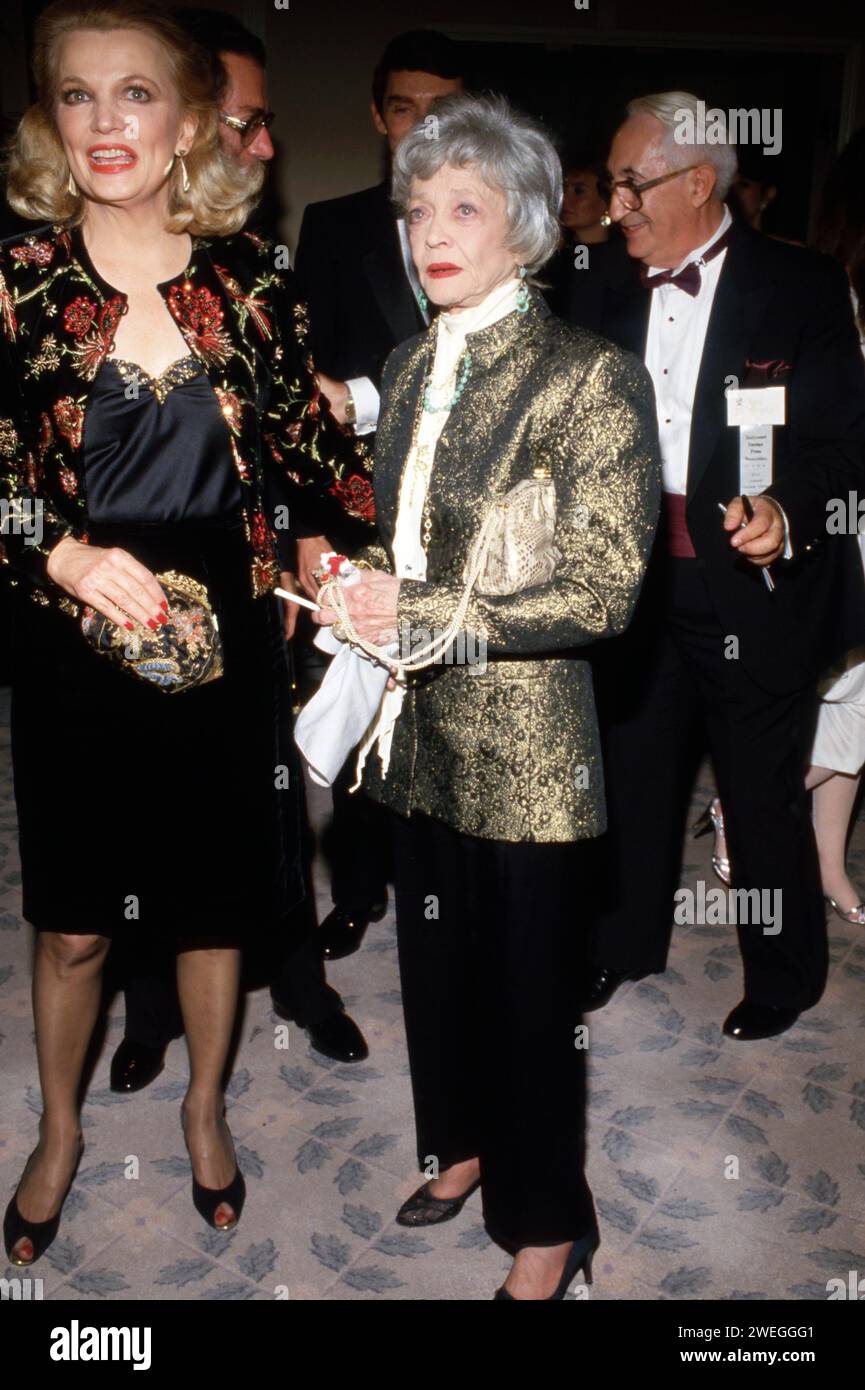 Sylvia Sidney attends the 43rd Annual Golden Globe Awards on January 24 ...