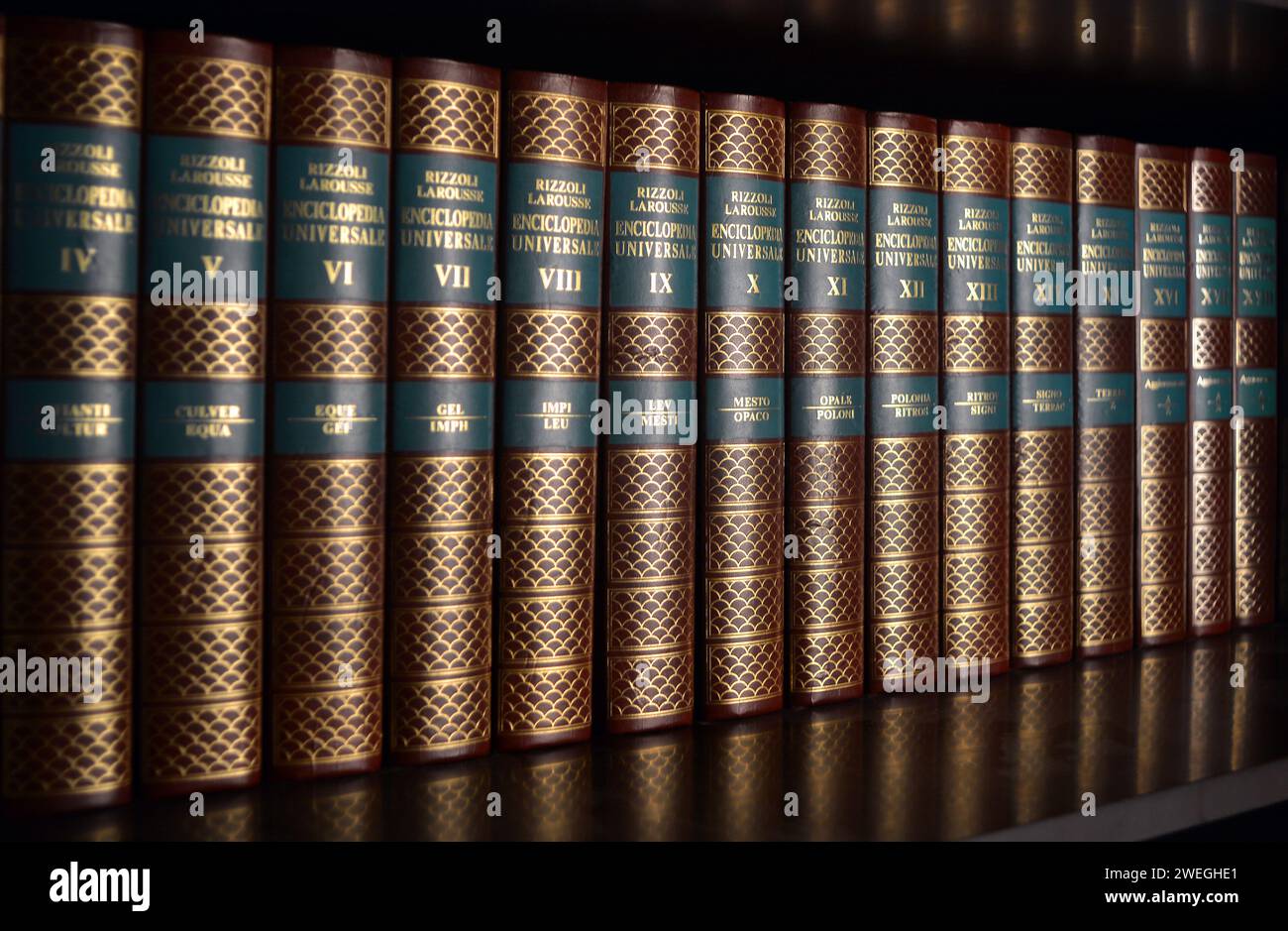 Turin, Piedmont, Italy 02-27-2023 Close up of Rizzoli Larousse ...