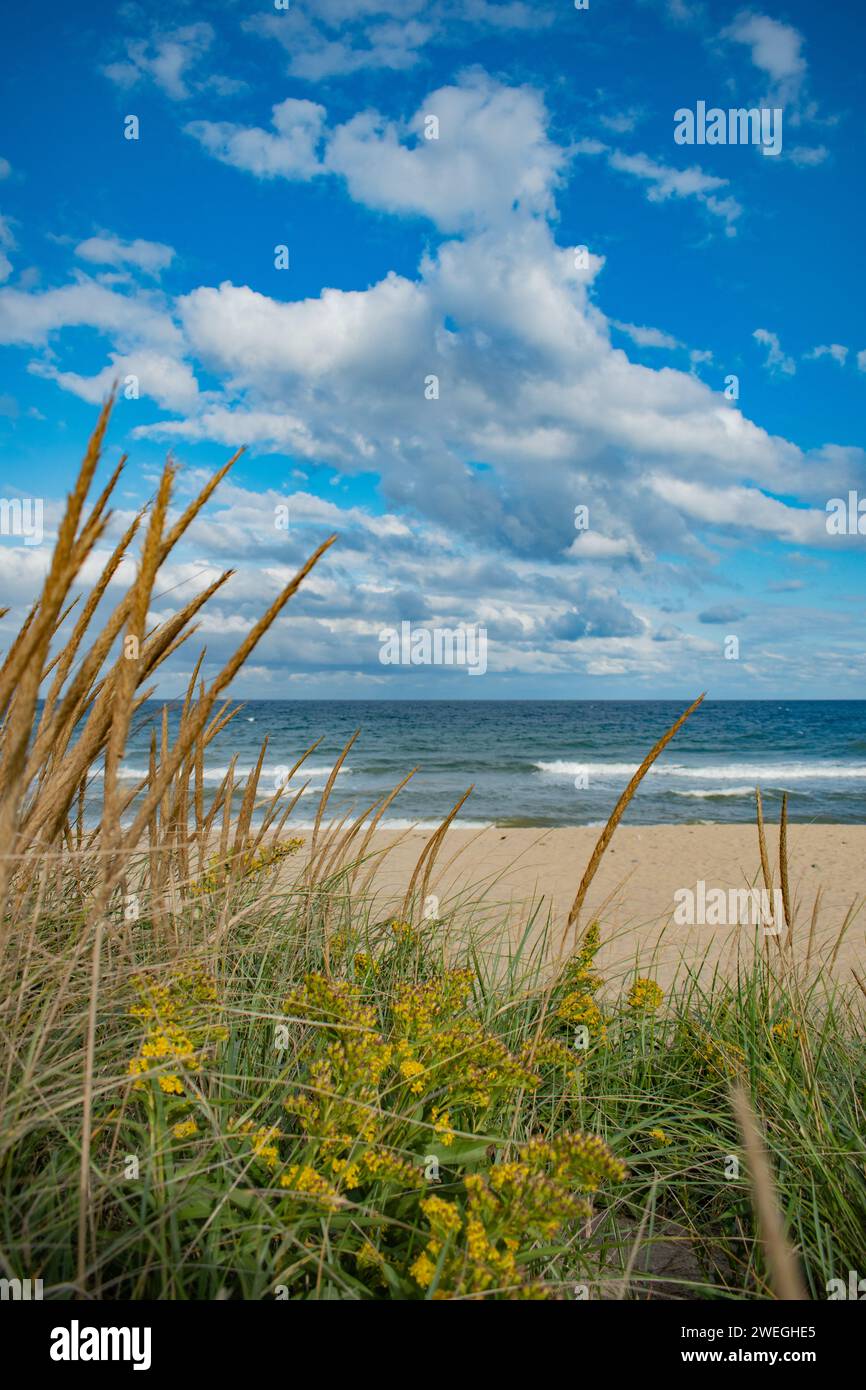 Cape Cod Beach Stock Photo - Alamy