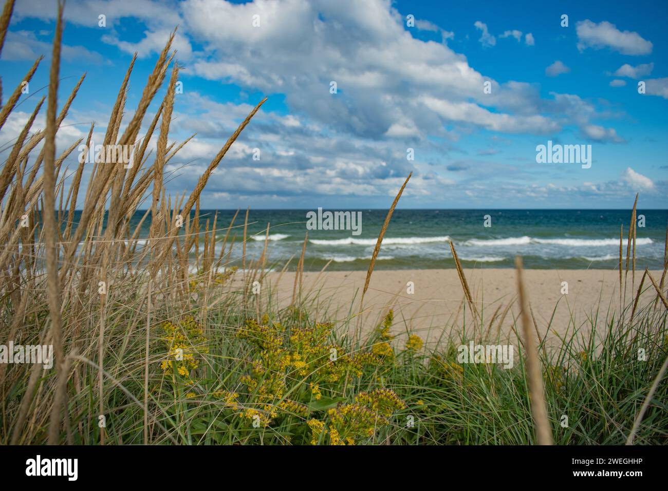 Cape Cod Beach Stock Photo - Alamy