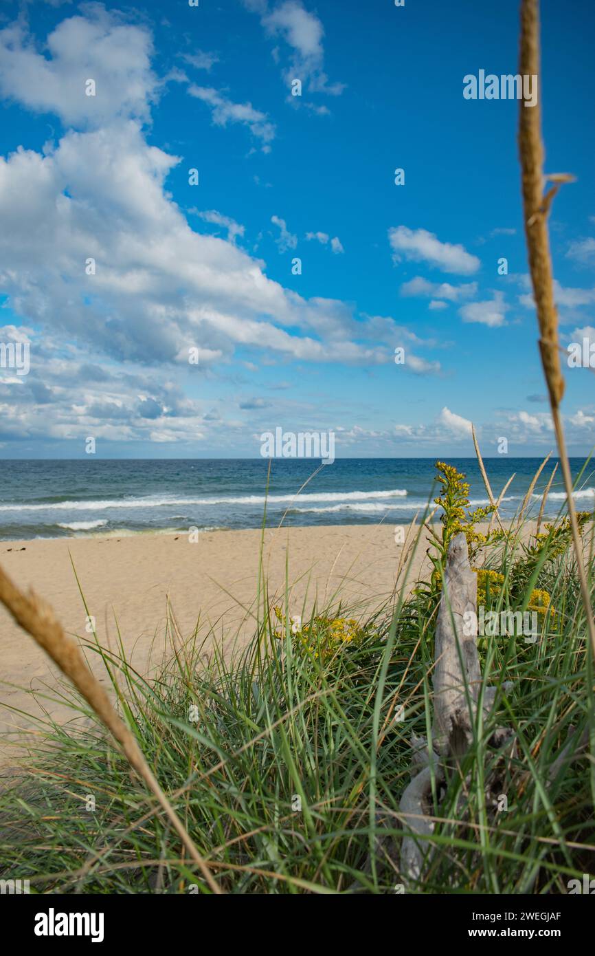 Cape Cod Beach Stock Photo - Alamy
