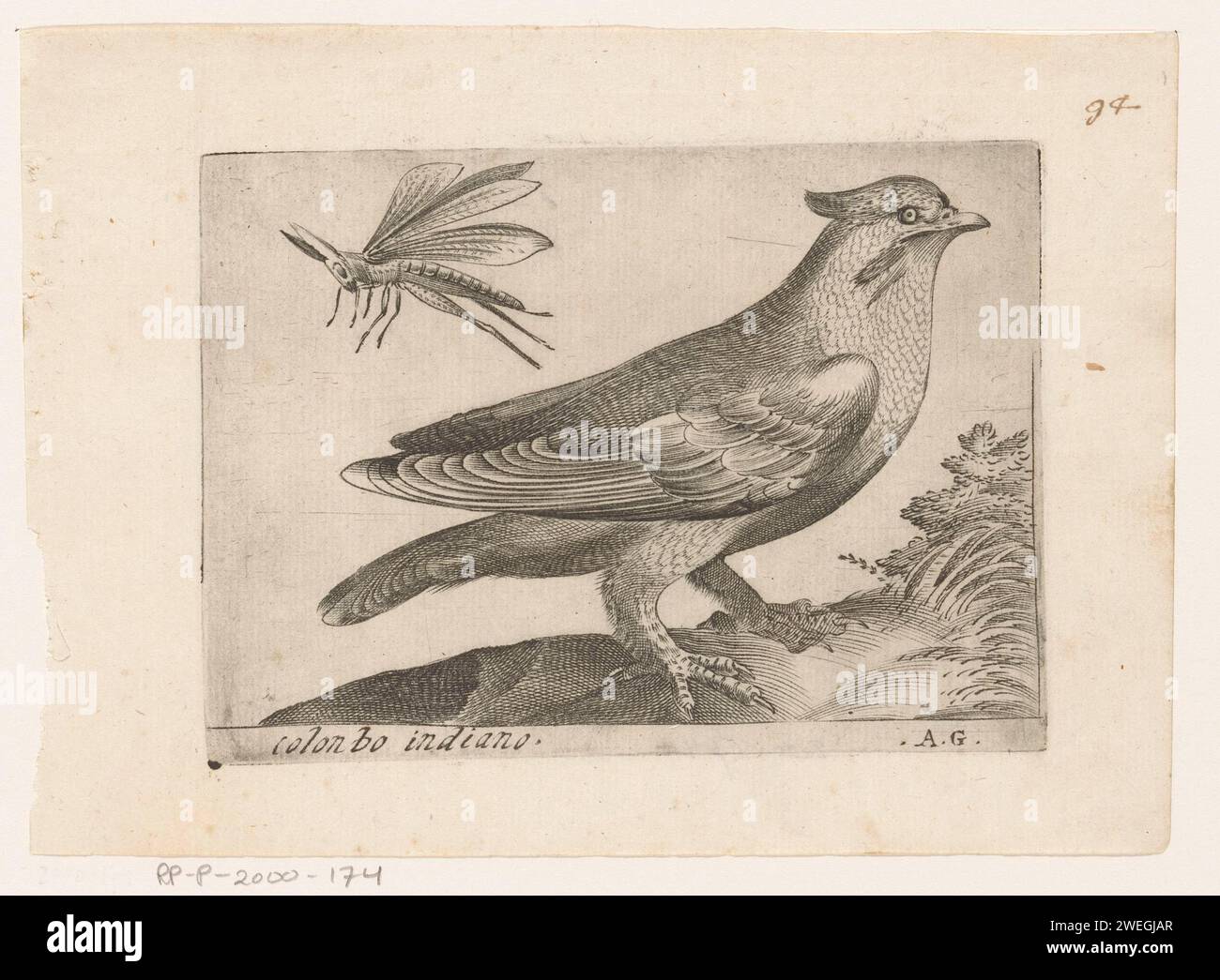 Pestvogel (Bombycilla Garrulus), monogram miss (16th century), c. 1580 ...