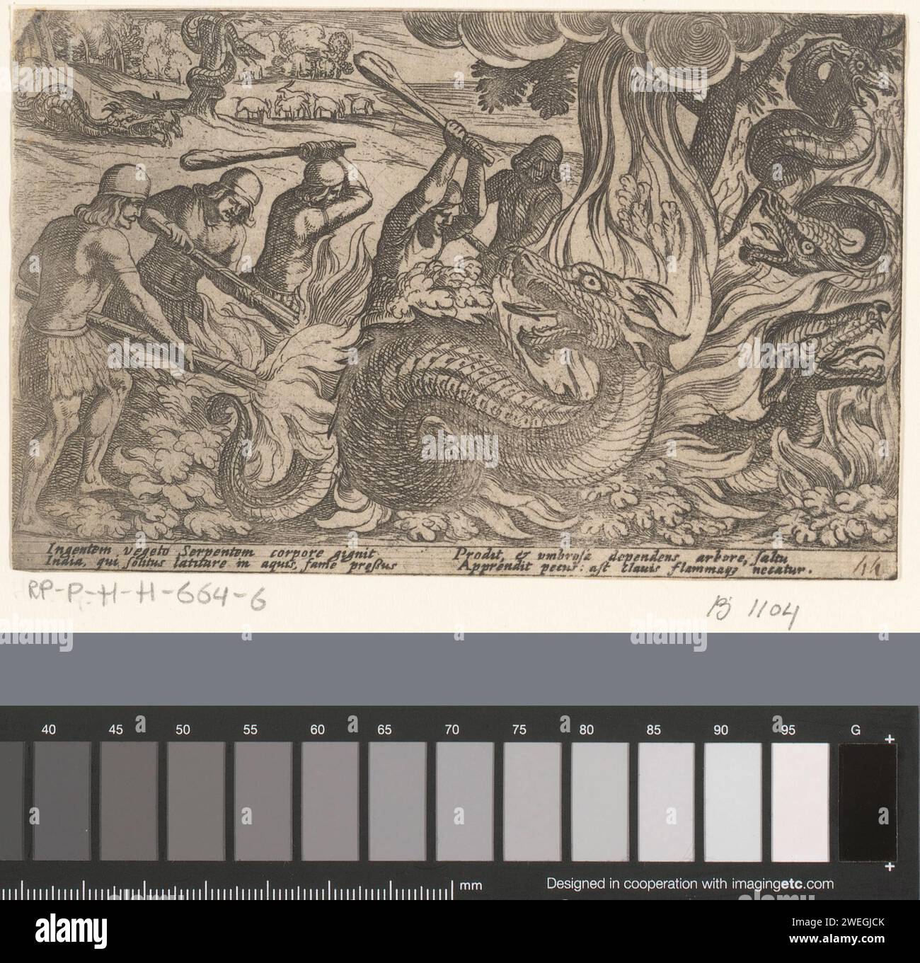 Two giant snakes attack hi-res stock photography and images - Alamy