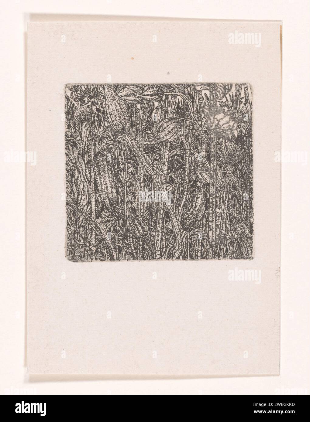 Weeds, Kees Stoop, 1944 - c. 1990 print Weed. paper etching plants and ...