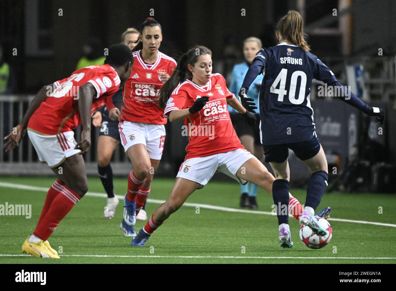 Bea sprung hi-res stock photography and images - Alamy