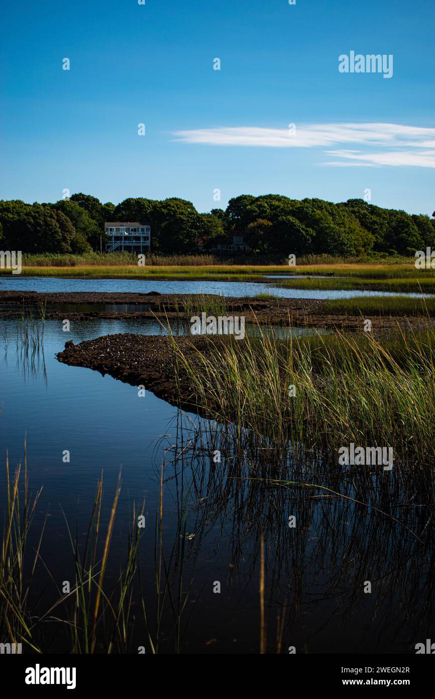 Marsh grass cape cod hi-res stock photography and images - Alamy