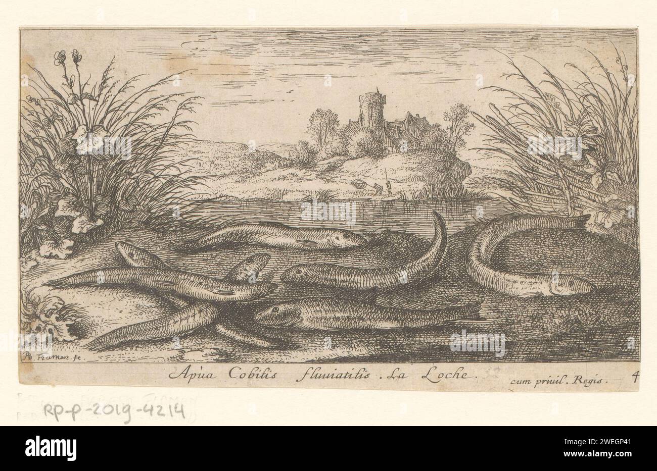 Mud crawlers on a riverbank, Albert Flamen, 1664 print paper etching ...