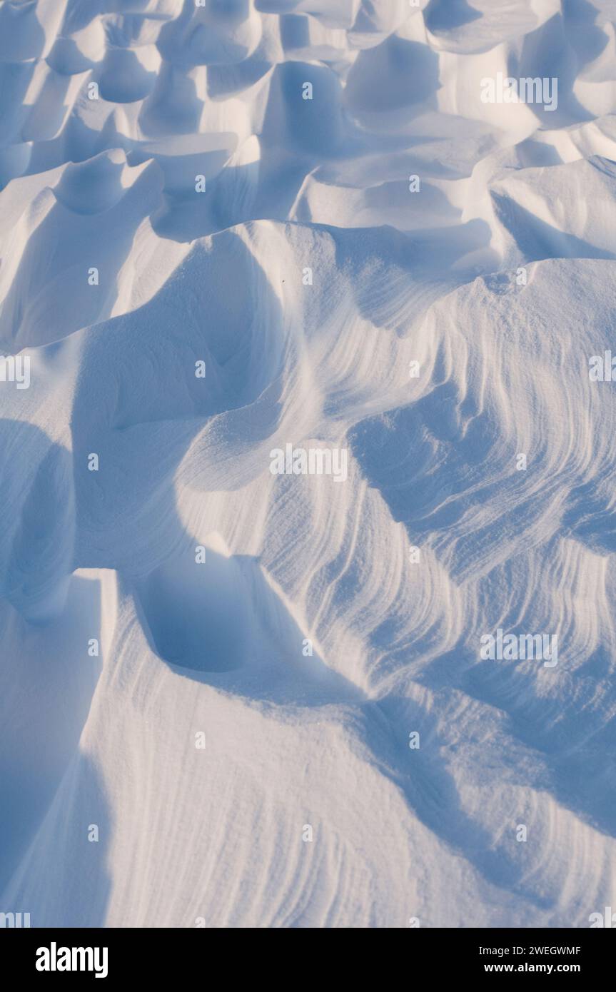 Small drifts of snow made hard by blizzard winds, 1002 coastal plain of ...