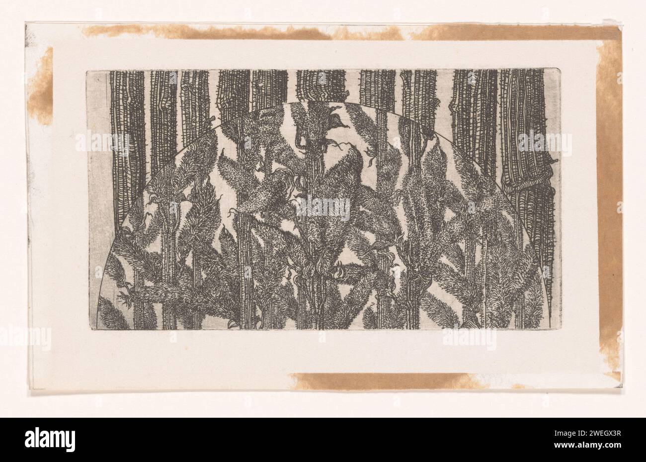 Stemes inside round arch, Kees Stoop, 1944 - c. 1990 print Stems inside ...