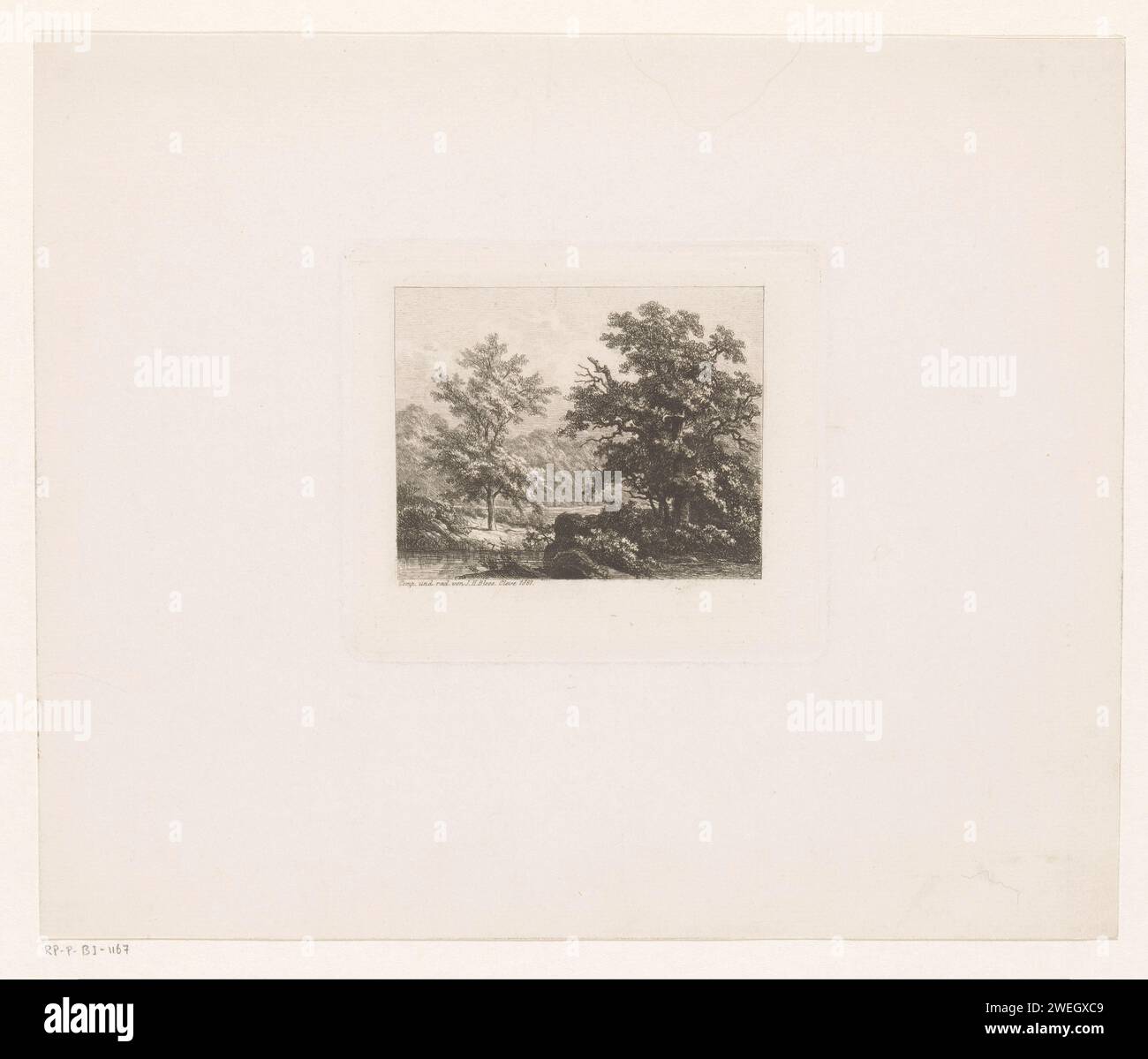 Forest face with a water feature on the left for a single tree, Joseph ...