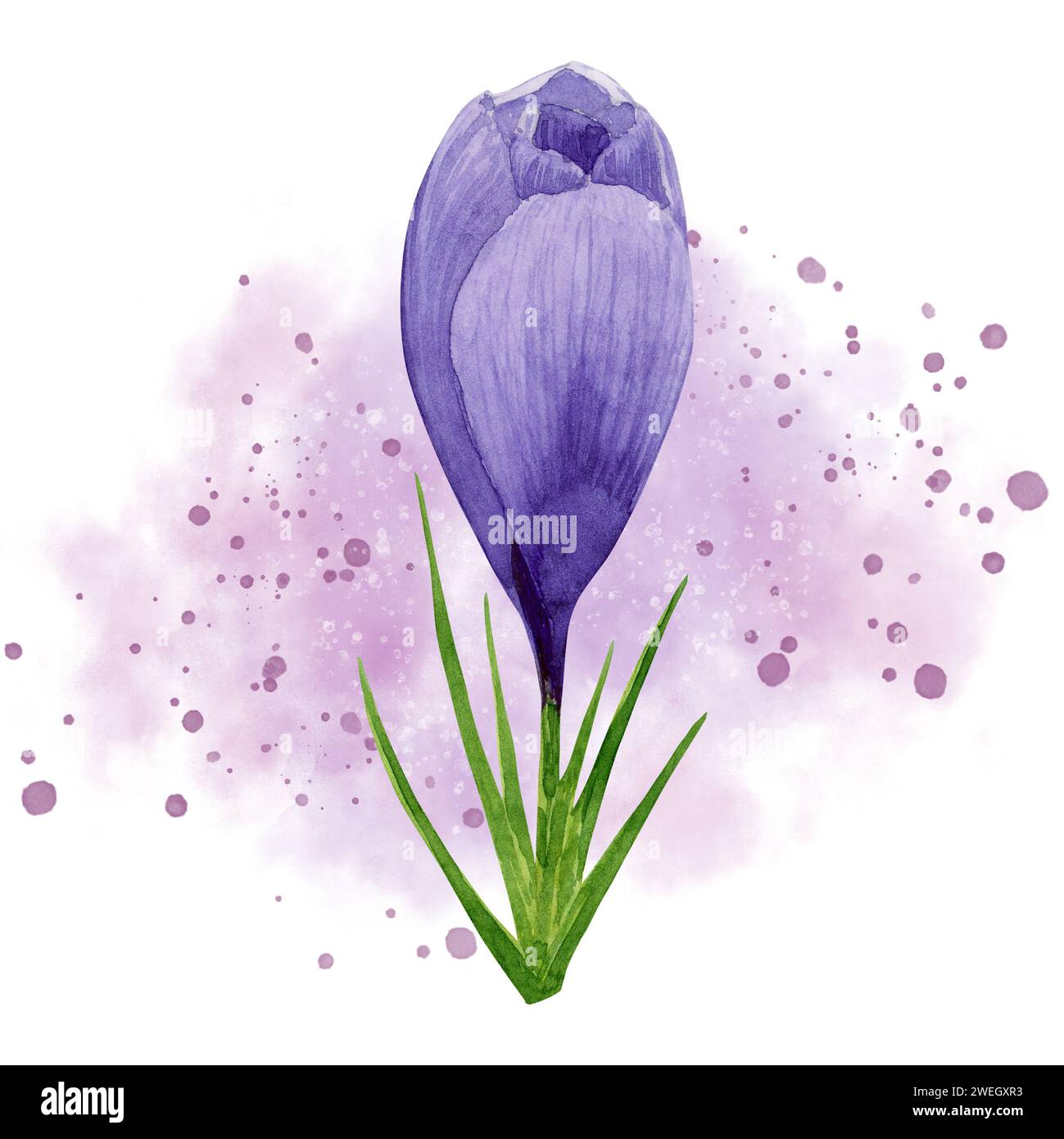 Blue watercolor floral clipart hi-res stock photography and images - Alamy