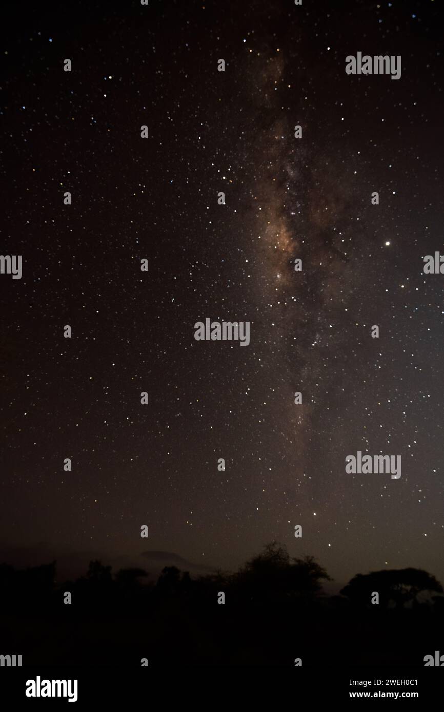 milky way over the african savannah Stock Photo - Alamy