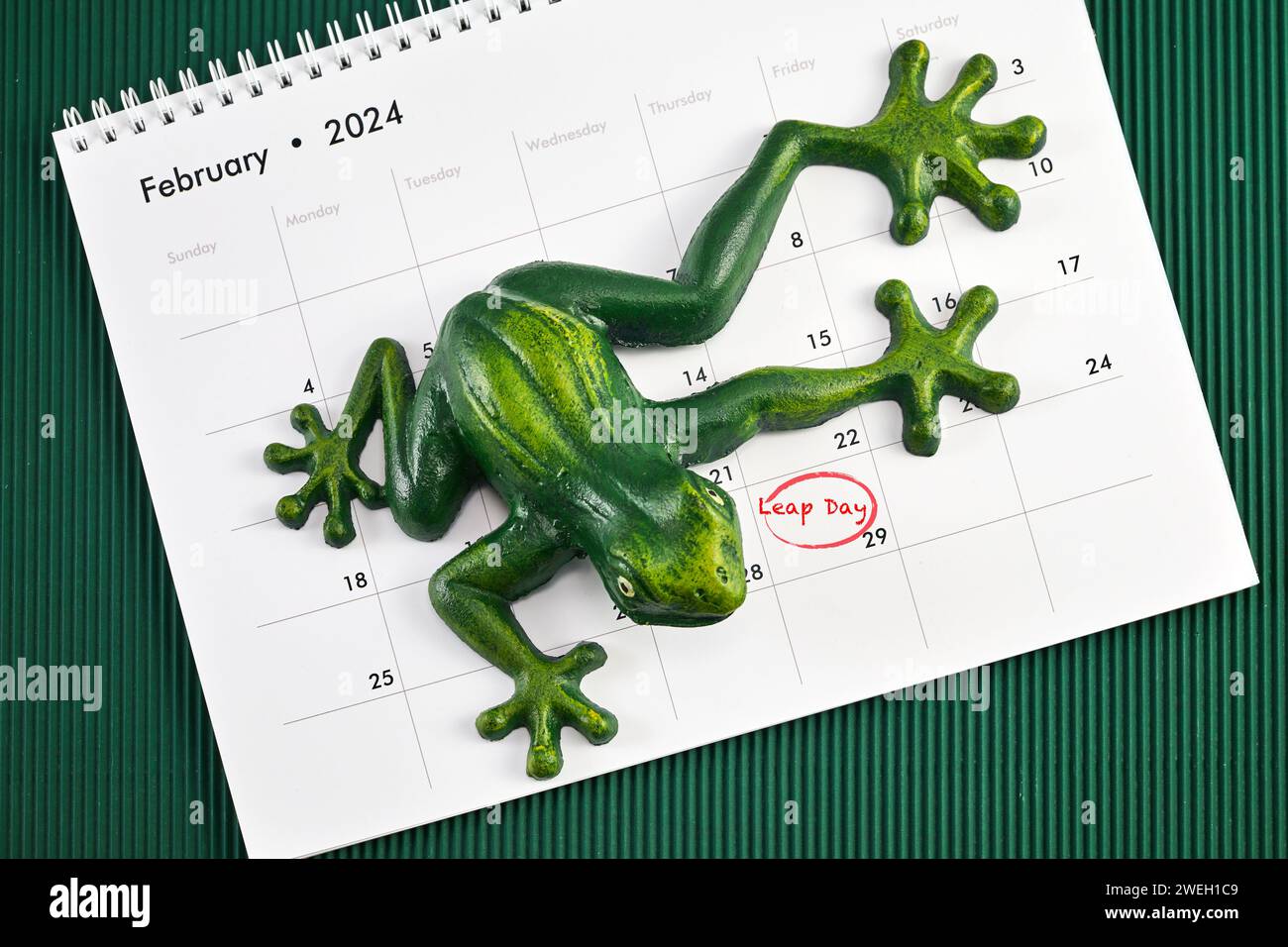 Frog jumping day hi-res stock photography and images - Alamy