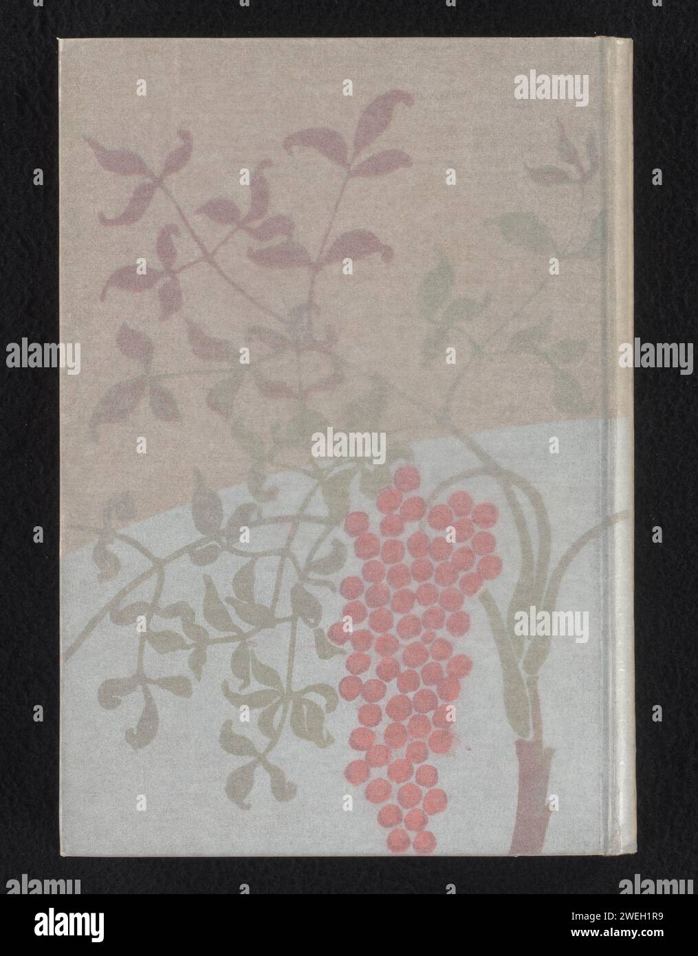 Nasanunaka, Shunyo Yanagawa, 1913-1919 book The sequel from a novel ...