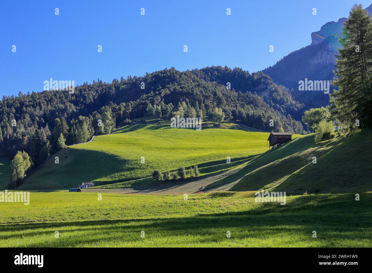 Morning sun rays cast soft shadow over the farming meadow with a wooden ...