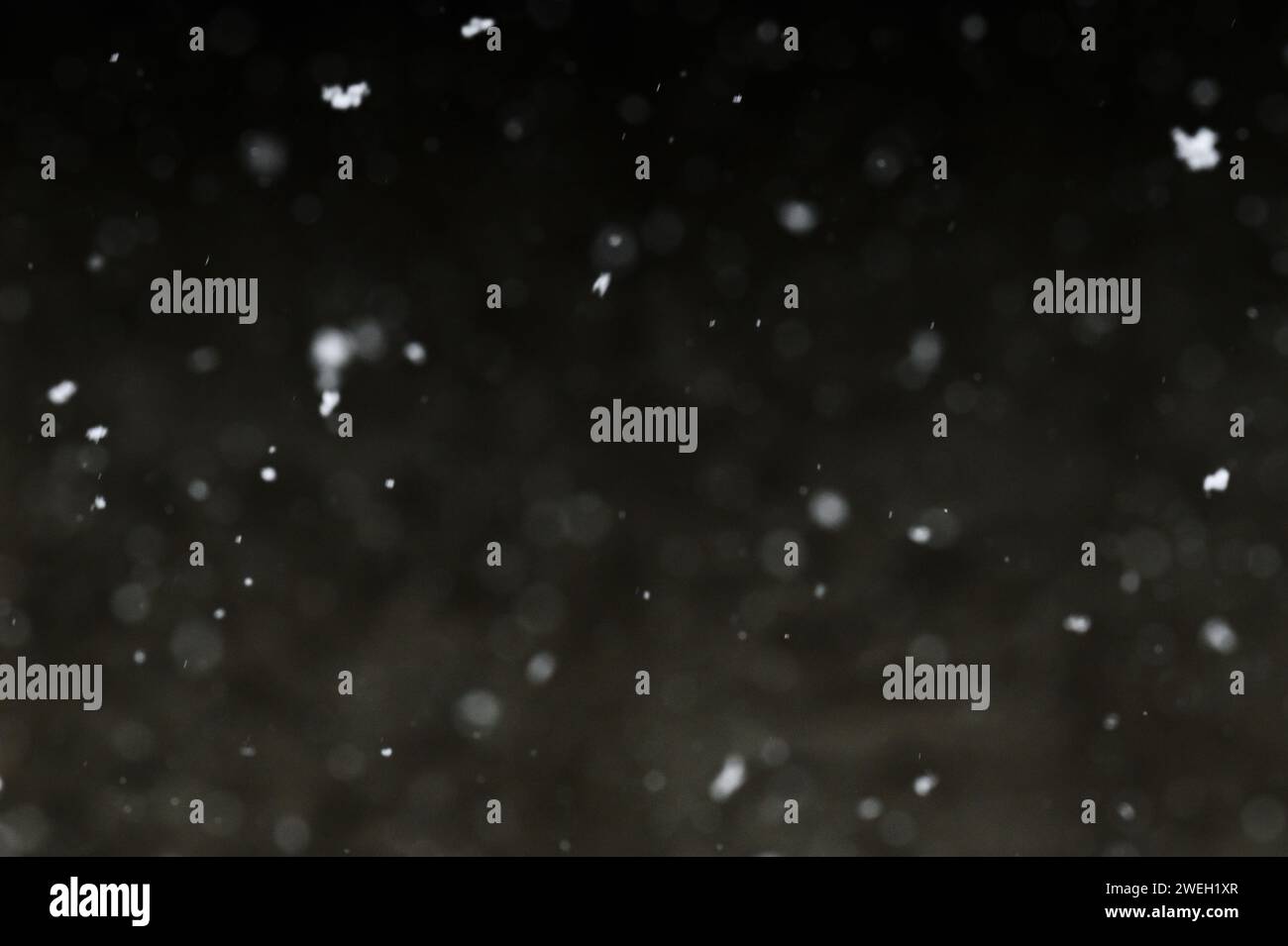 Bokeh of white snow on a black background. Snowfall - new design ...