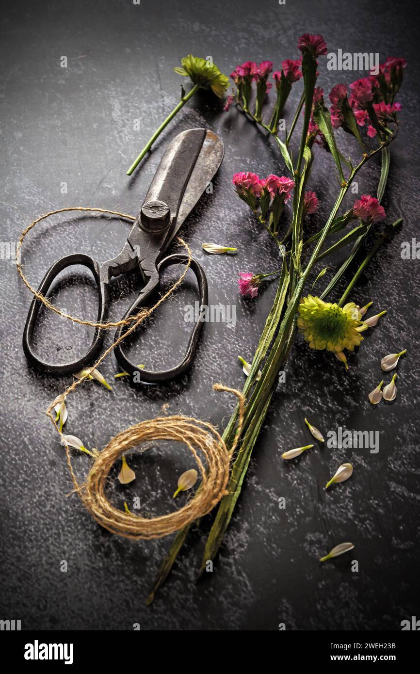 Flower branches and vintage scissors for flower arrangement, dark and ...