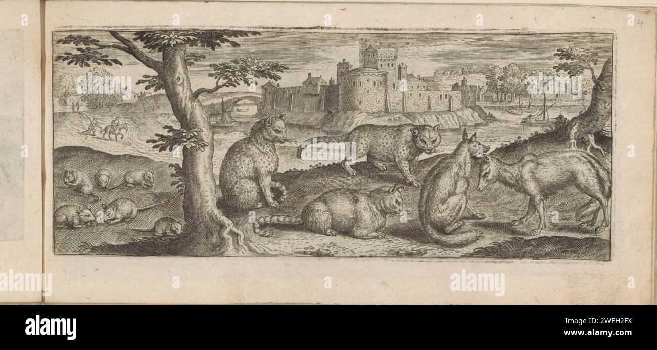 Rats, cats and foxes in a landscape, 1583 print On the left six rats ...