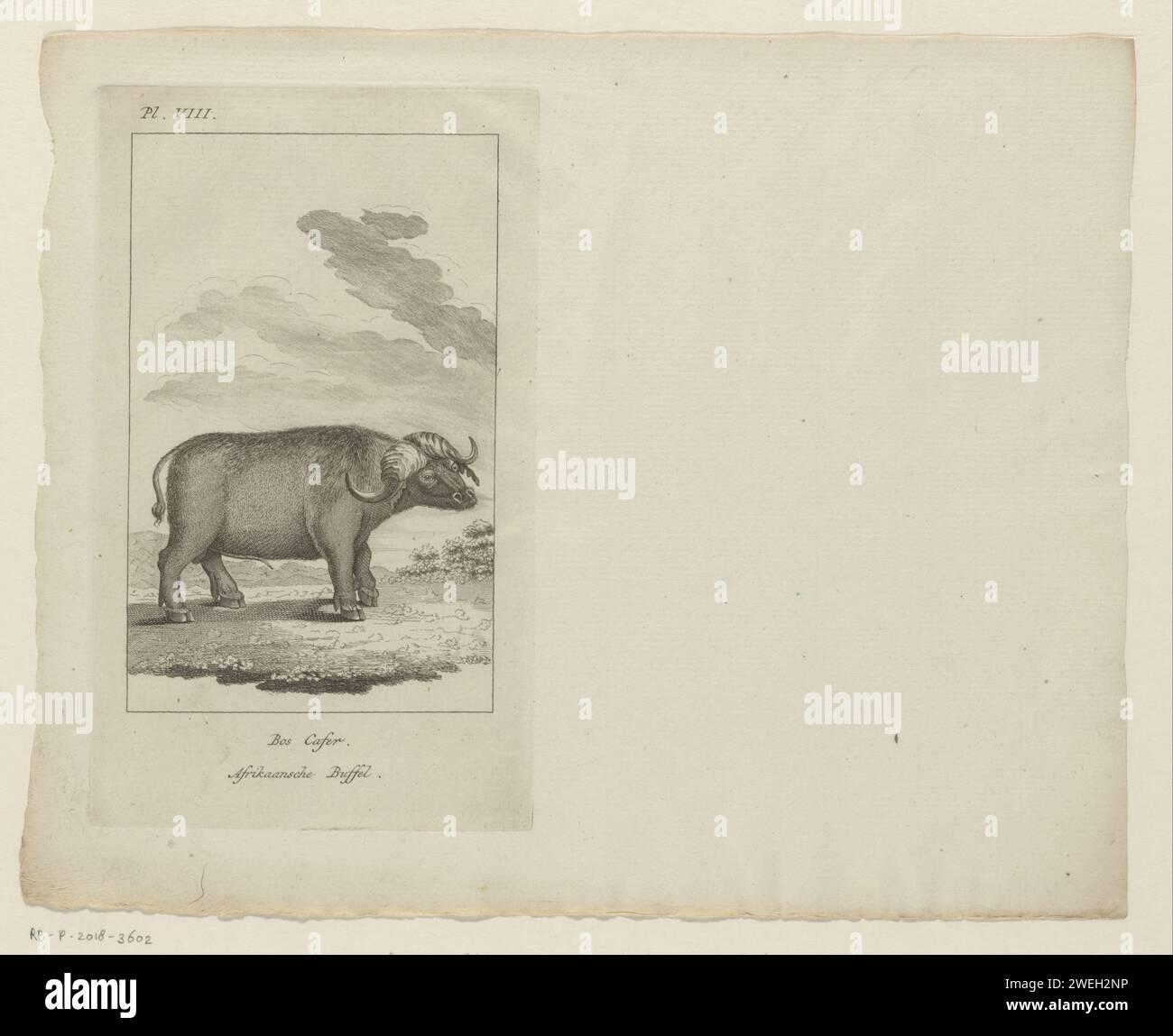 Gordon robert jacob hi-res stock photography and images - Alamy