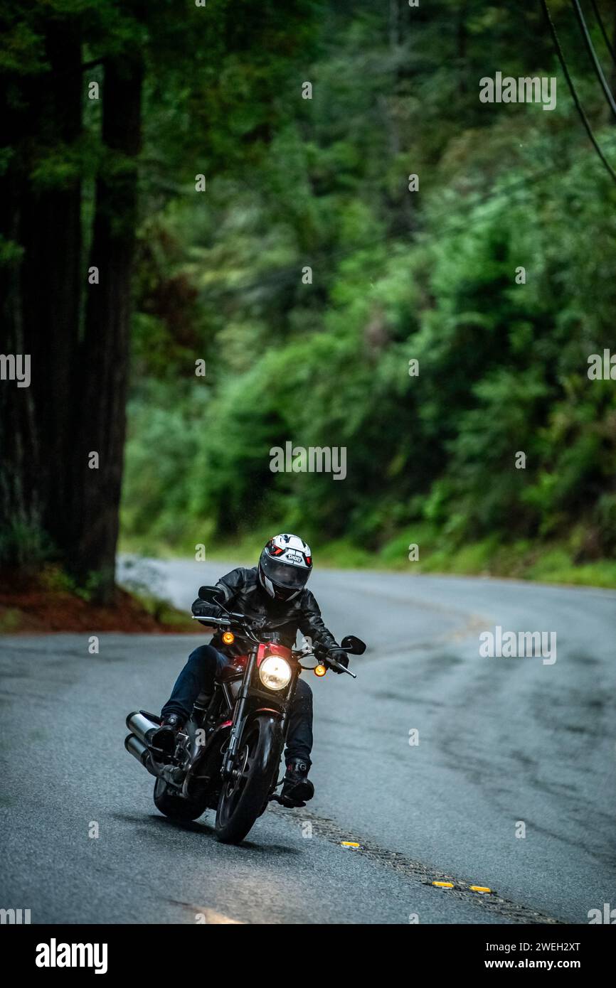A Lone motorcyclist riding a cruiser motorcycle in the woods on a ...