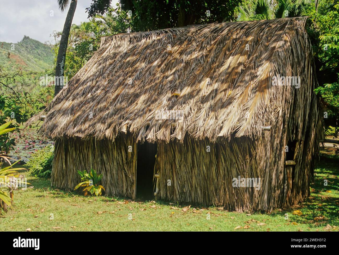 Heiaus and hawaii hi-res stock photography and images - Alamy