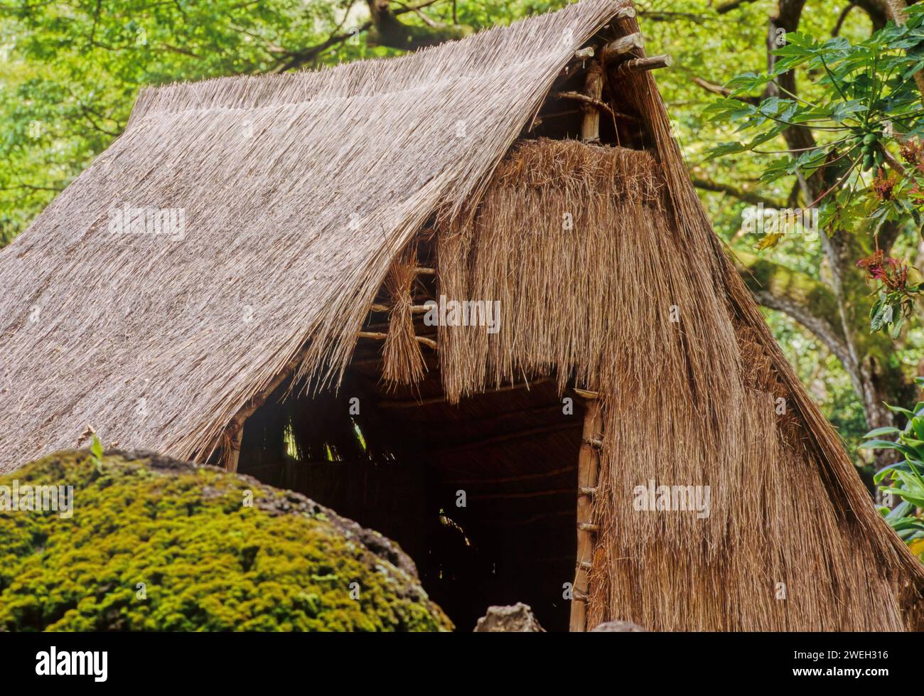 Wailua River State Park and the Wailua Complex of Heiaus, which it ...