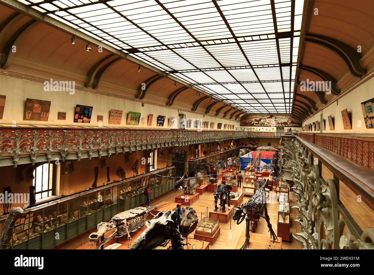 The Gallery of Paleontology and Comparative Anatomy is a part of the French National Museum of ...