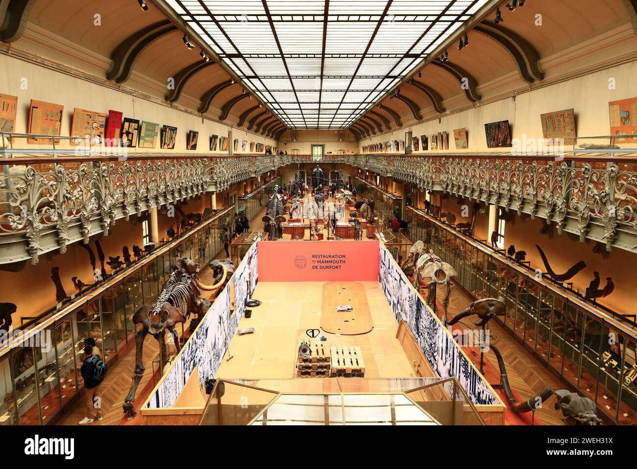 The Gallery of Paleontology and Comparative Anatomy is a part of the French National Museum of ...