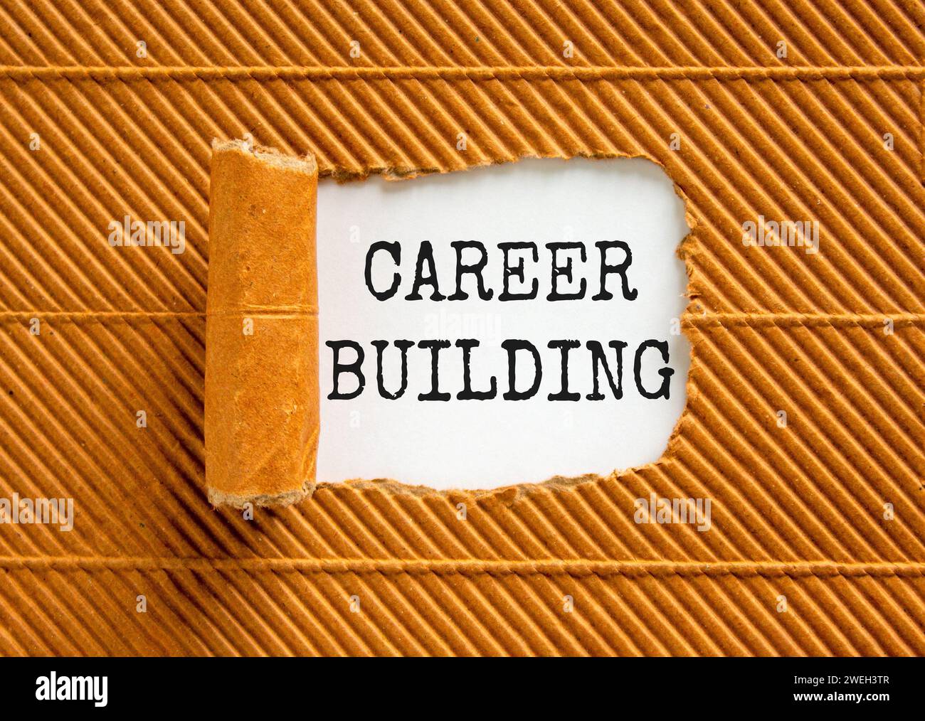 Career building symbol. Concept words Career building on beautiful ...