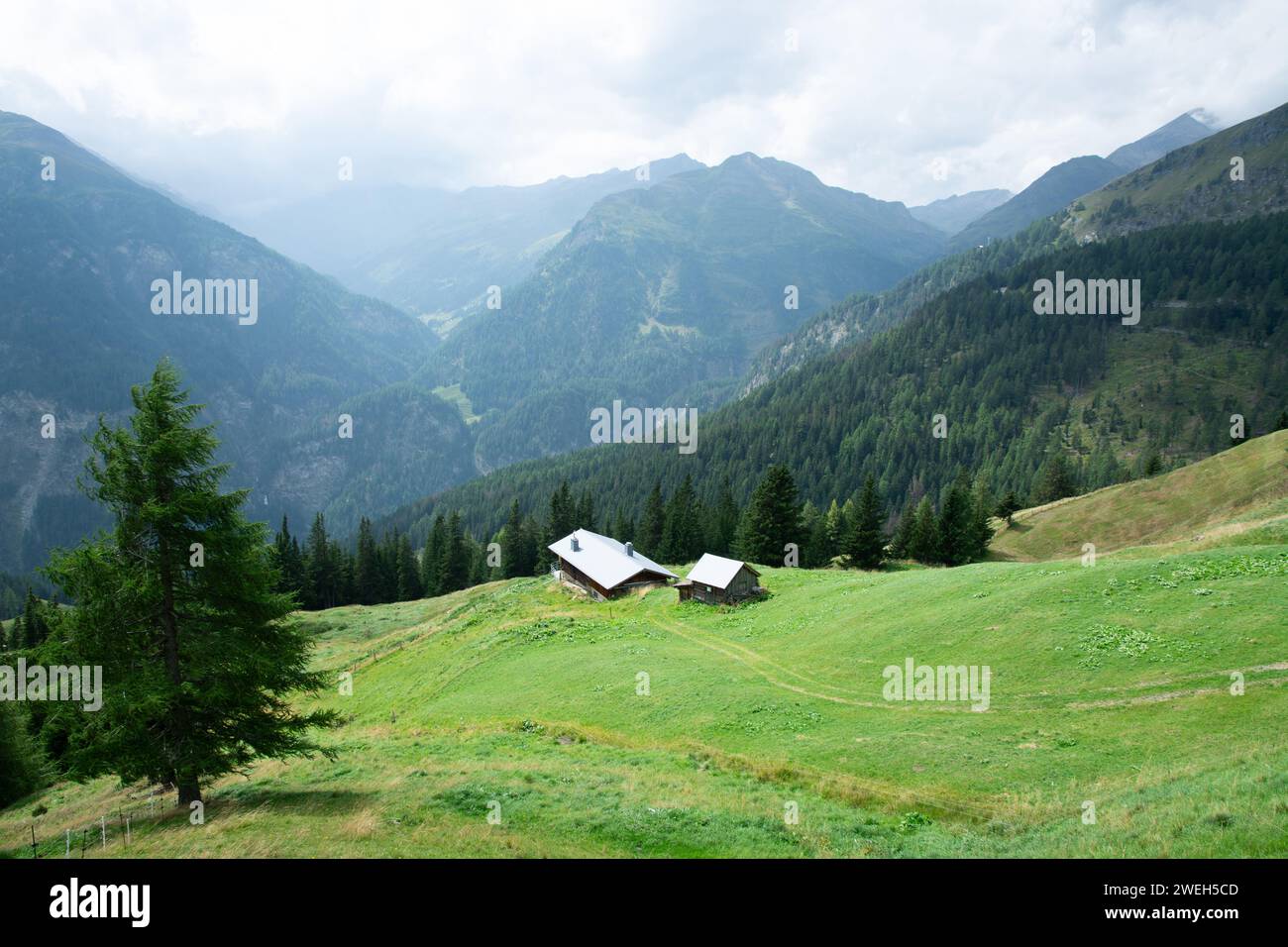 Alpine habitat summer hi-res stock photography and images - Alamy