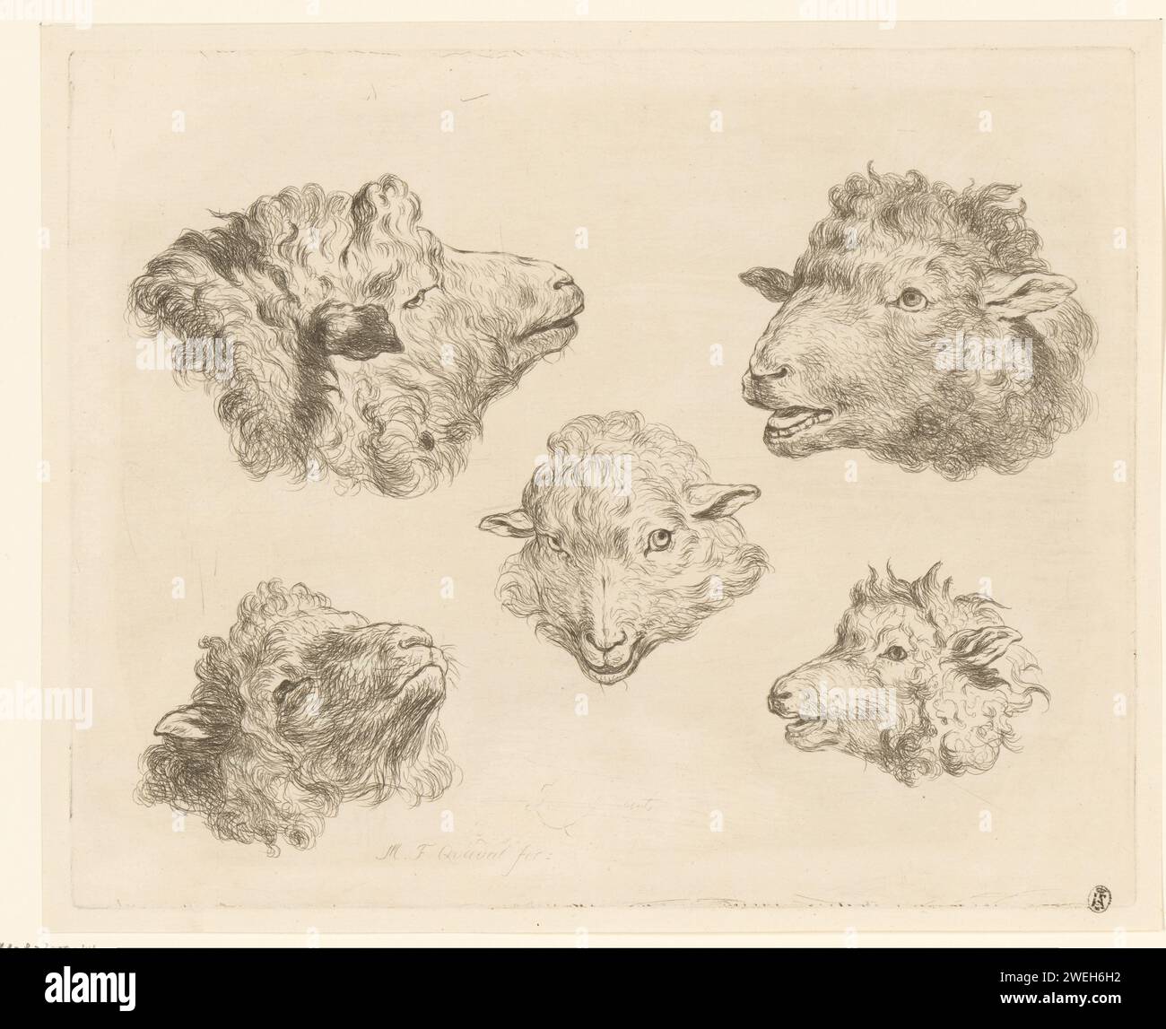 Five sheep heads, Martin Ferdinand Quadal, 1793 print paper etching ...