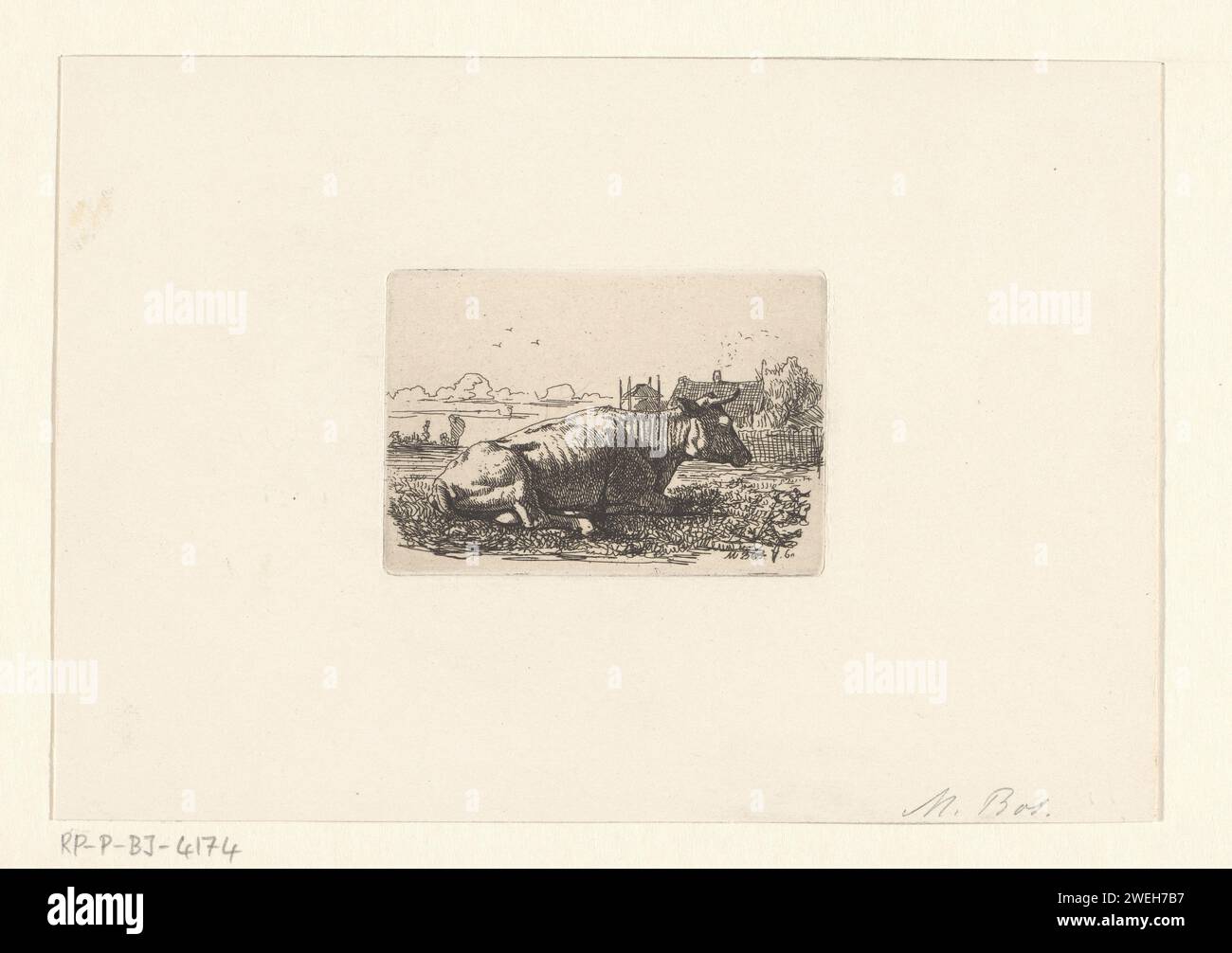 Bos maarten hi-res stock photography and images - Alamy