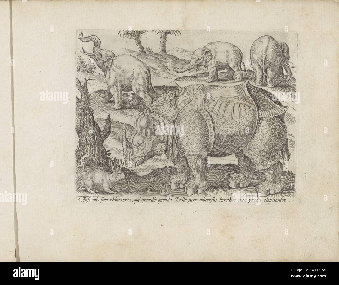 Rhino and three elephants, Anonymous, After Albrecht Dürer, 1581 - 1600 ...