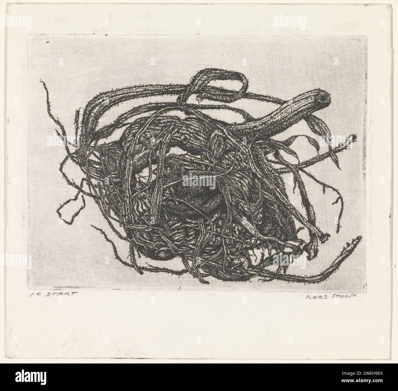 Kluwen branches, Kees Stoop, c. 1970 print Kluwen branches. paper ...