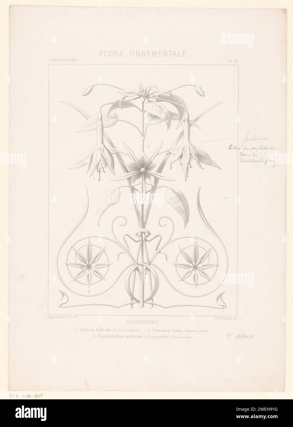 Study sheet with various views of flowers, including fuchsias, Claude ...