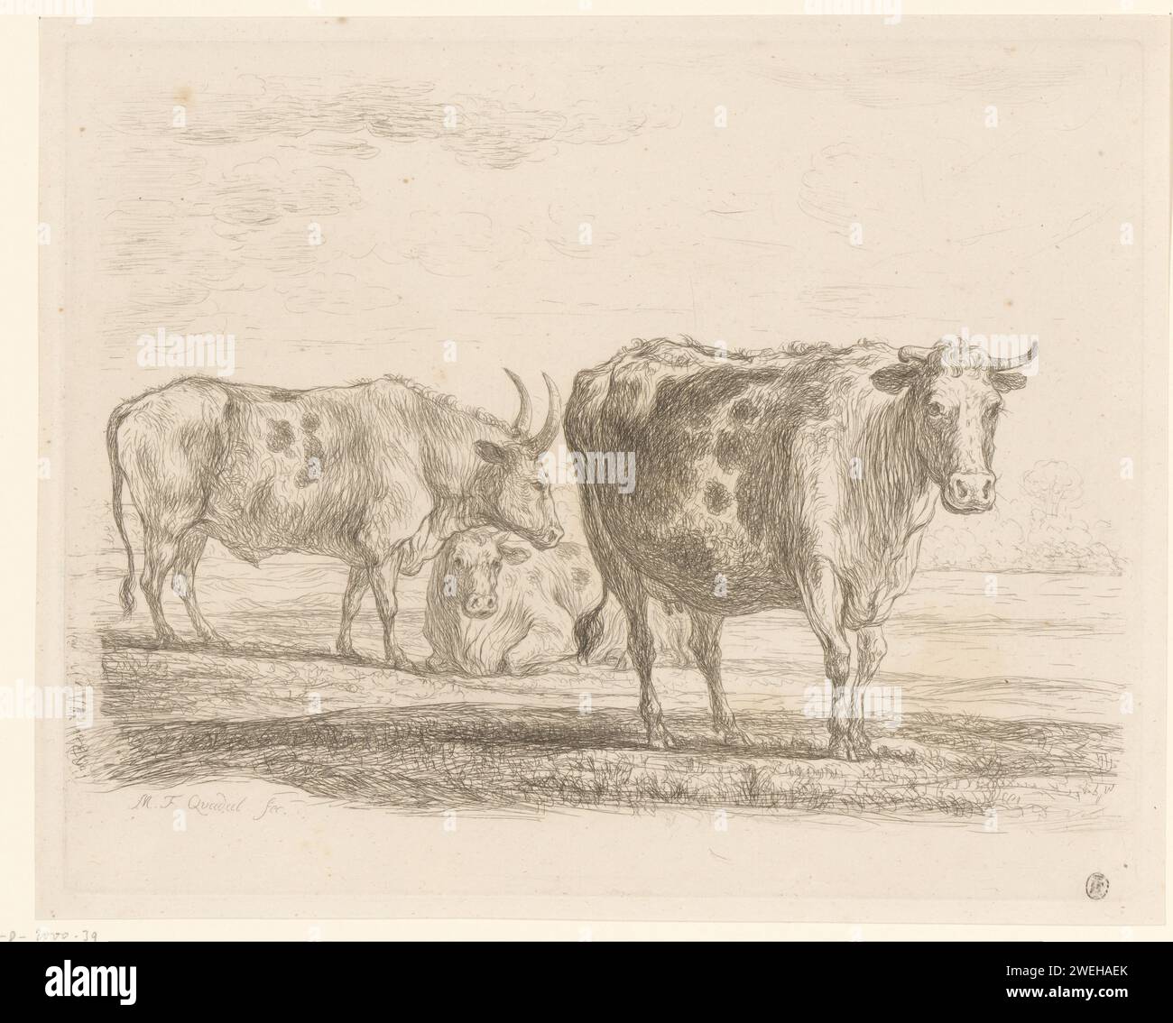 Three Cows, Martin Ferdinand Quadal, 1793 print paper etching cow. bull ...