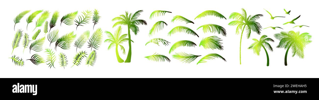 Set of green palm tree elements. hand drawing. Not AI. Vector ...