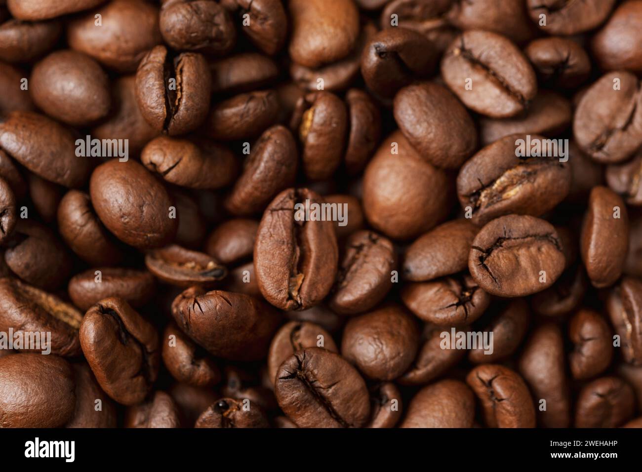 Bean texture hi-res stock photography and images - Alamy