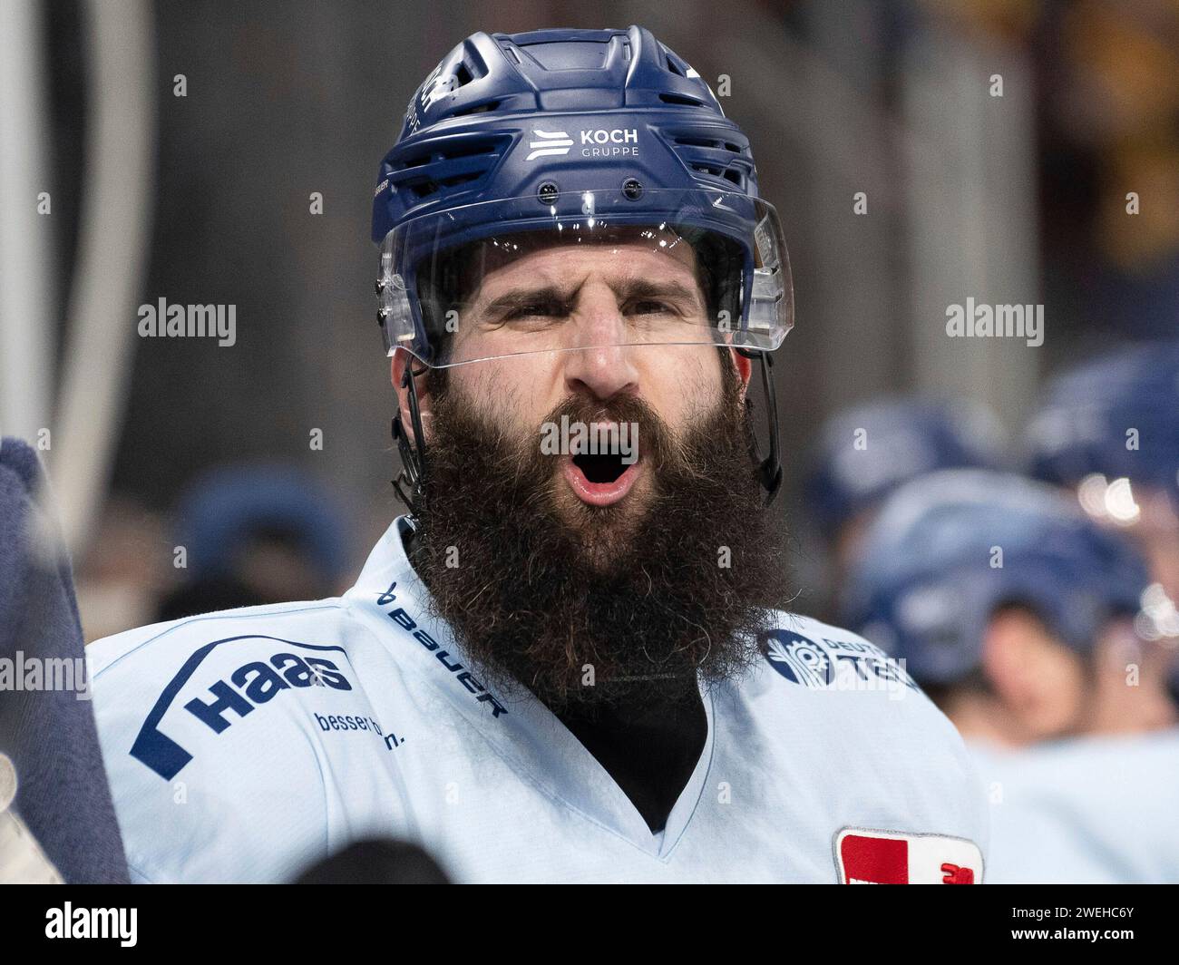 Duesseldorfer eg vs straubing tigers hi-res stock photography and ...