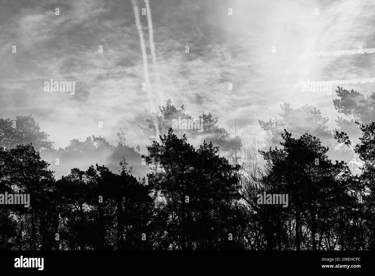 Double texture Black and White Stock Photos & Images - Alamy