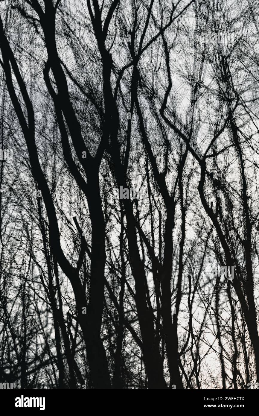 Double texture hi-res stock photography and images - Alamy