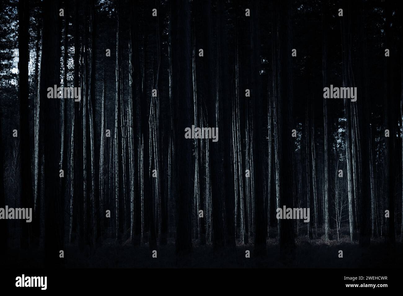 Double texture hi-res stock photography and images - Alamy