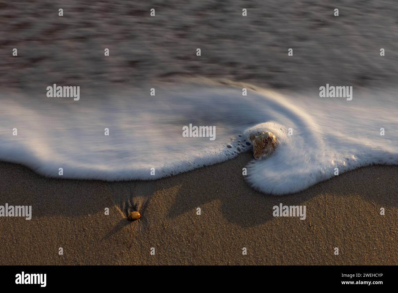Surf foam around shell hi-res stock photography and images - Alamy