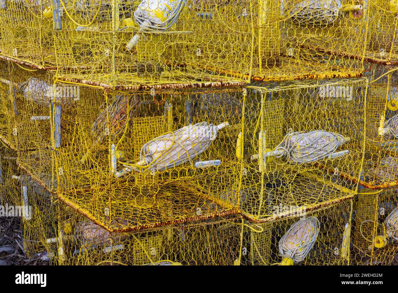 Yellow crab posts on Maryland's Eastern Shore of the Chesapeake Bay ...