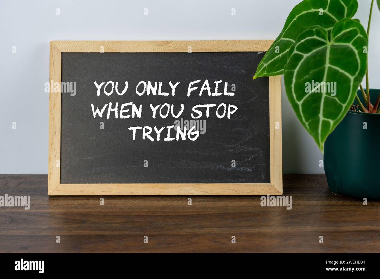 Blackboard with inspirational quotes you only fail when you stop trying ...