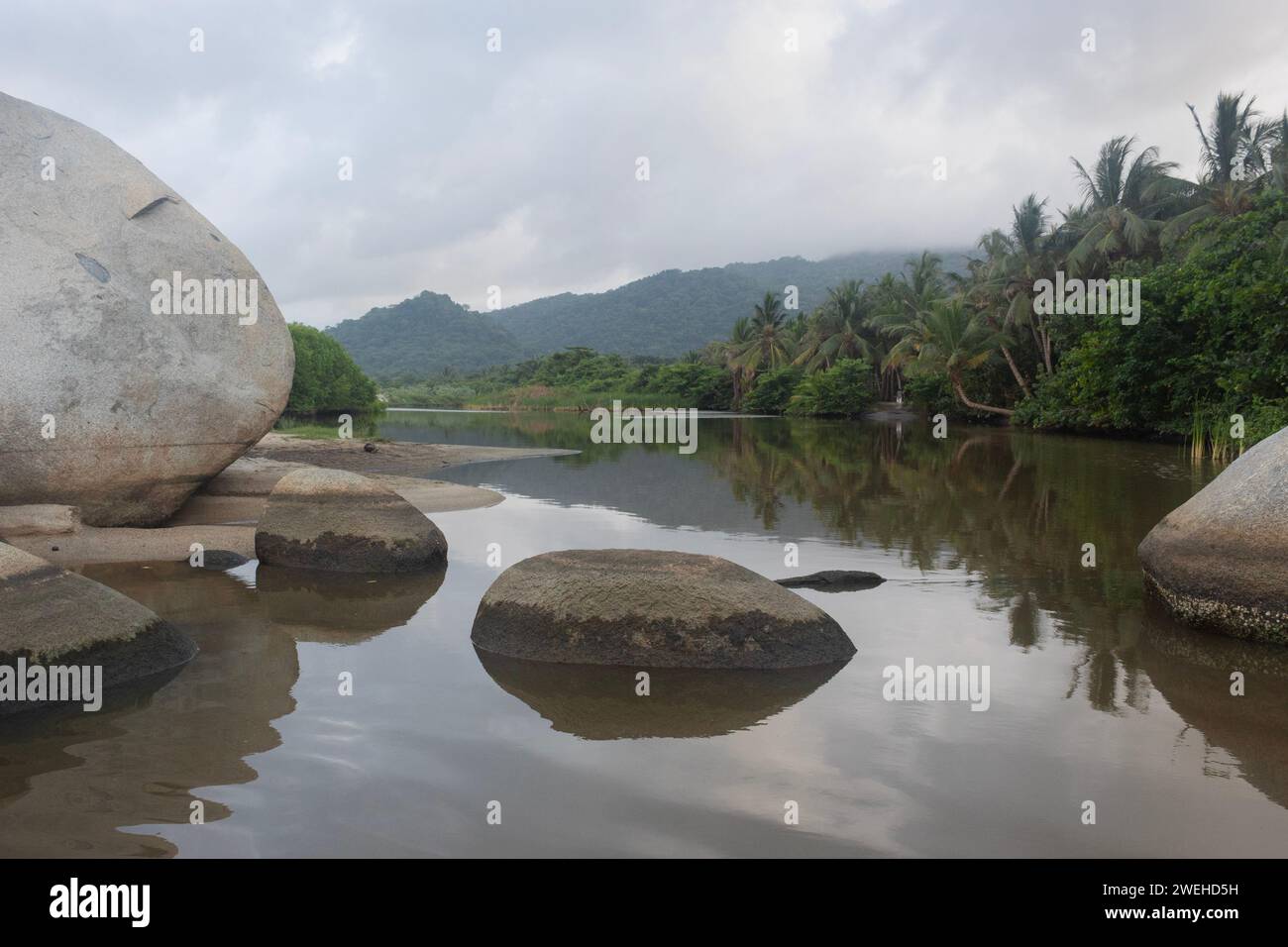 Tropical River with mangrove swamp and sierra nevada mountains at ...