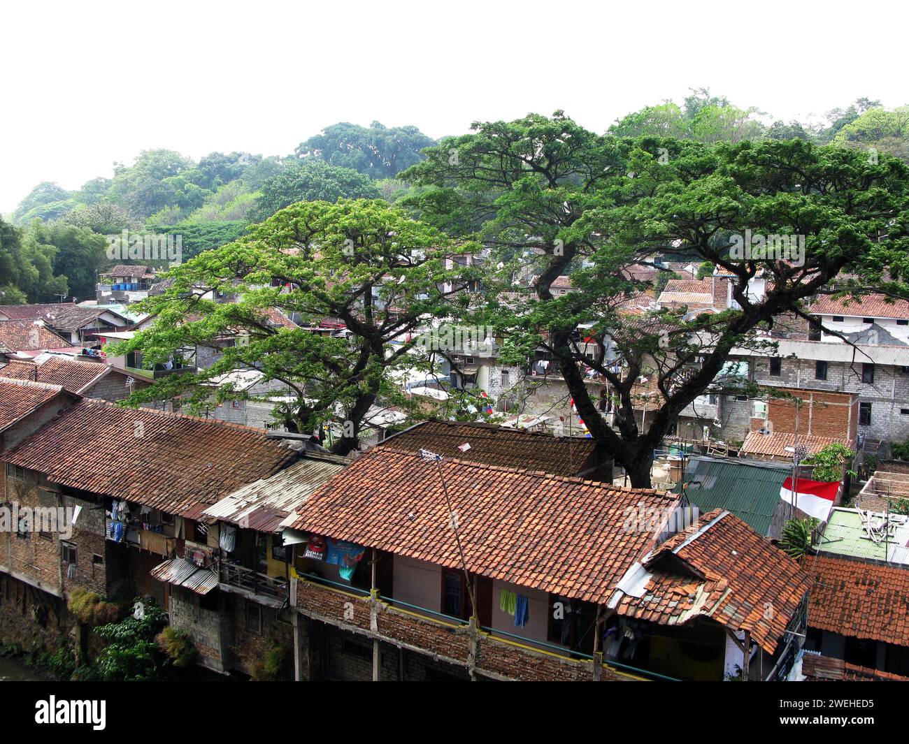 Downtown java house downtown hi-res stock photography and images - Alamy