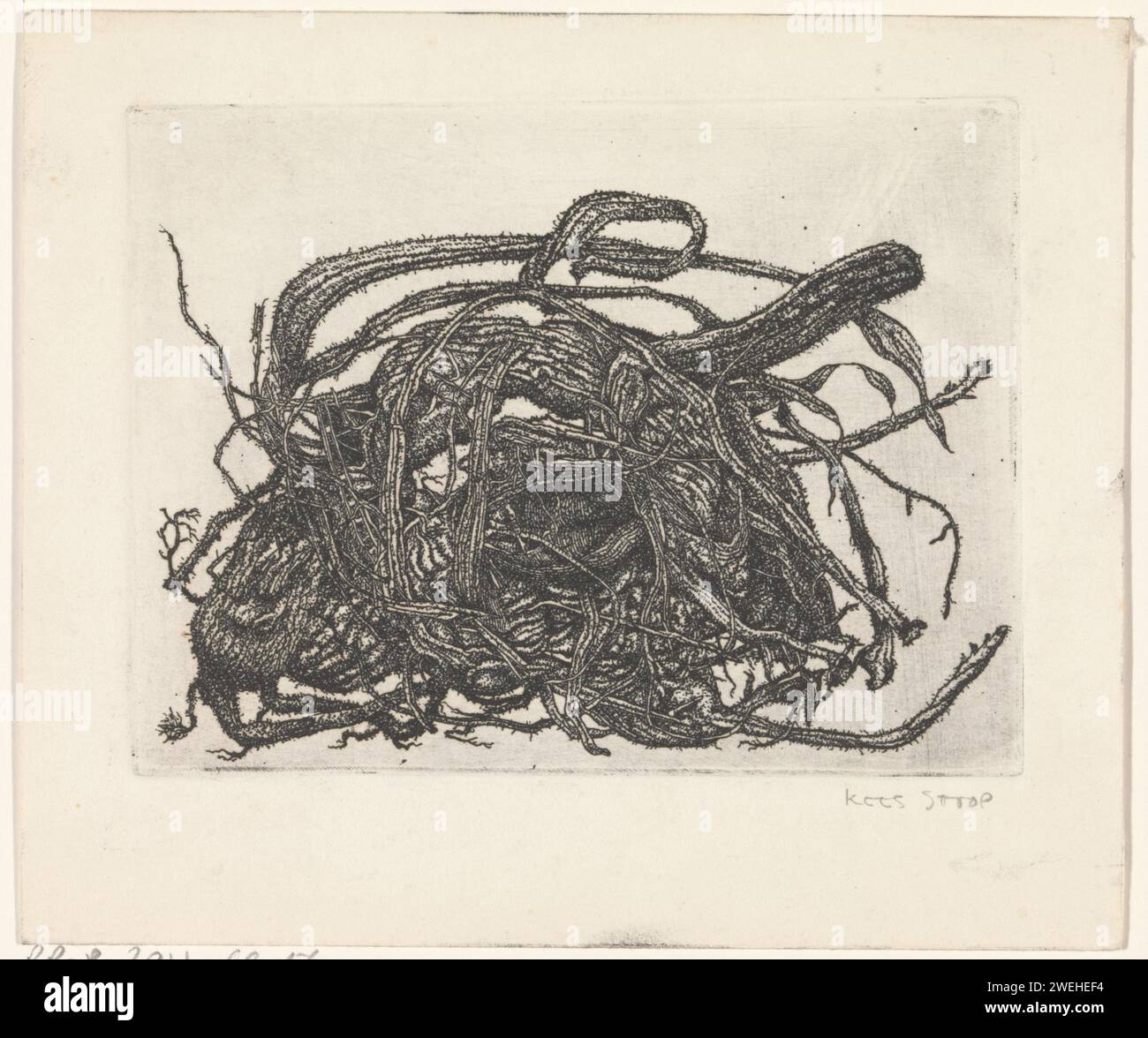 Kluwen branches, Kees Stoop, 1944 - c. 1990 print Kluwen branches ...